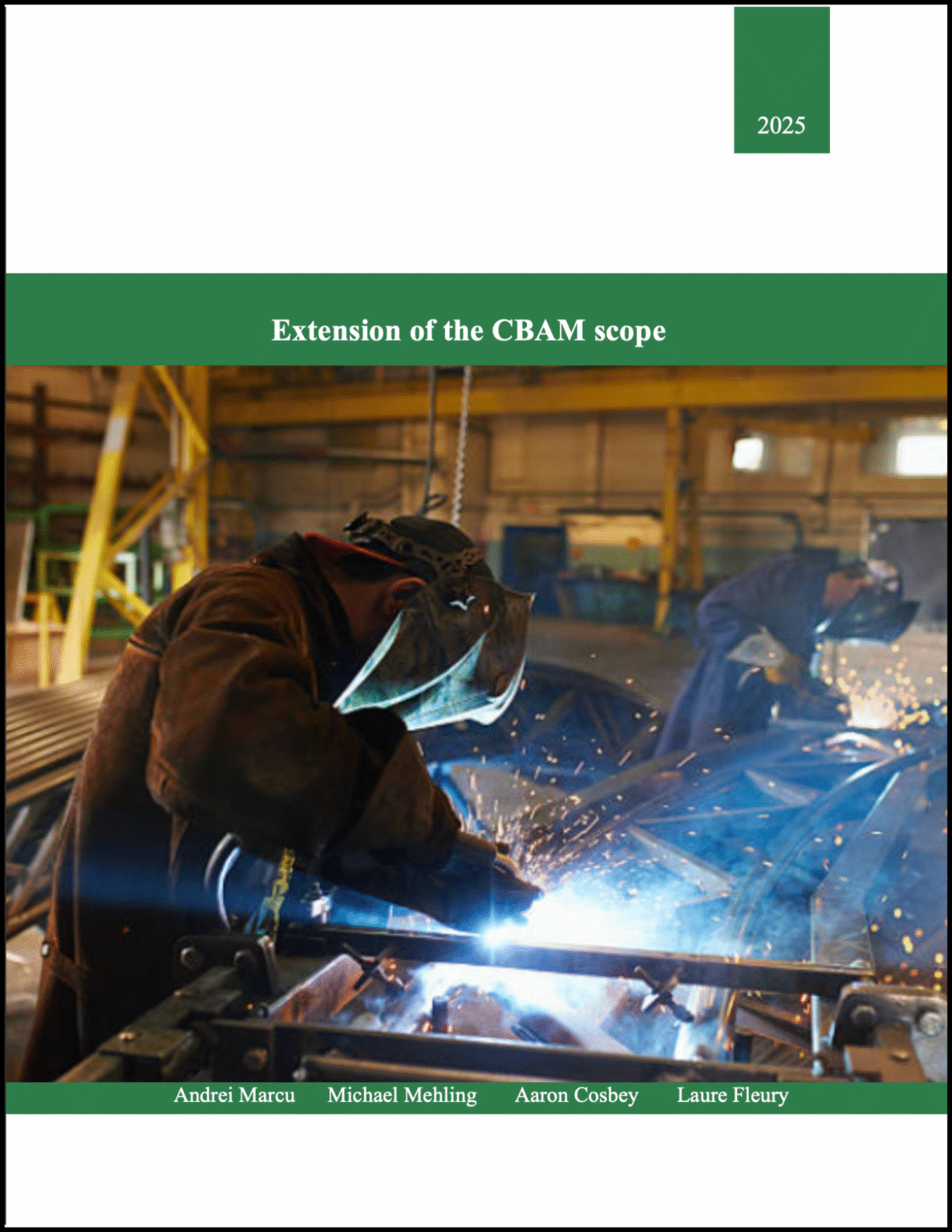 Extension of the CBAM scope – ERCST